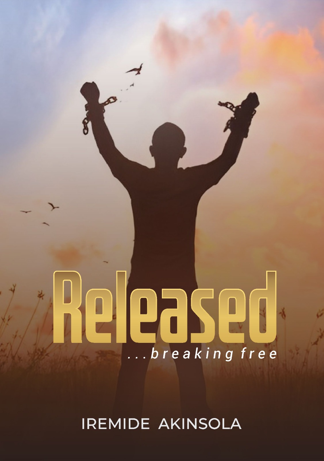 Released - The e-Book - Iremide Akinsola